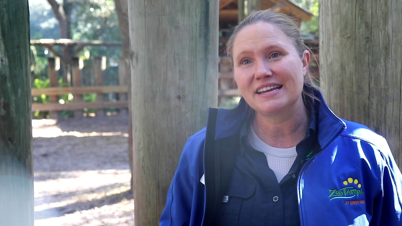 Careers and Internships at ZooTampa