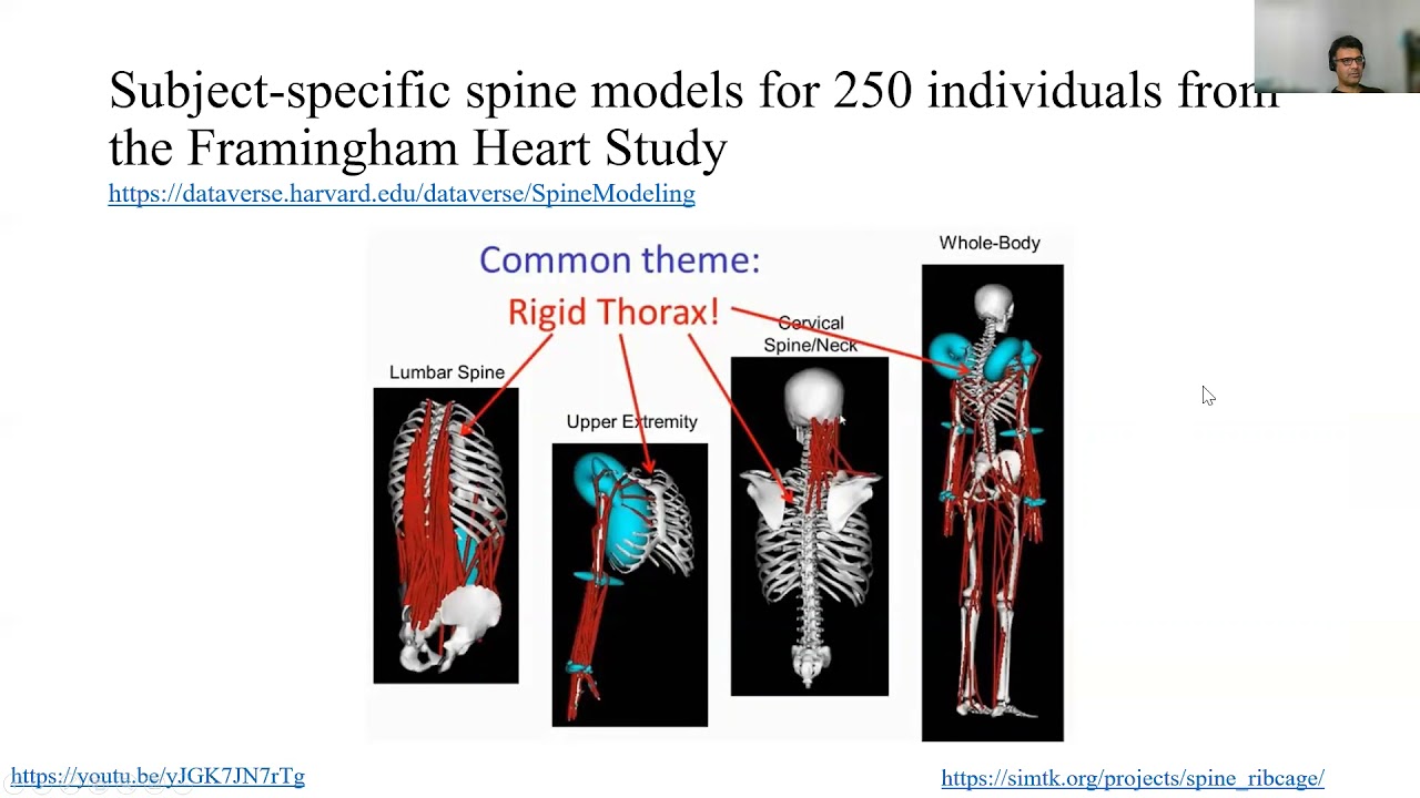 OpenColab Scaling vs. OpenSim GUI