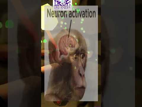 Steam Community :: Video :: neuron activation #gamer #live #gaming #pc ...