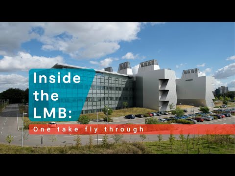 Inside the LMB: One take fly through