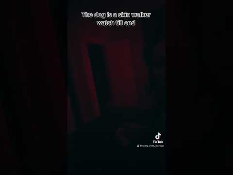 Dog changes into skinwalker in front of human