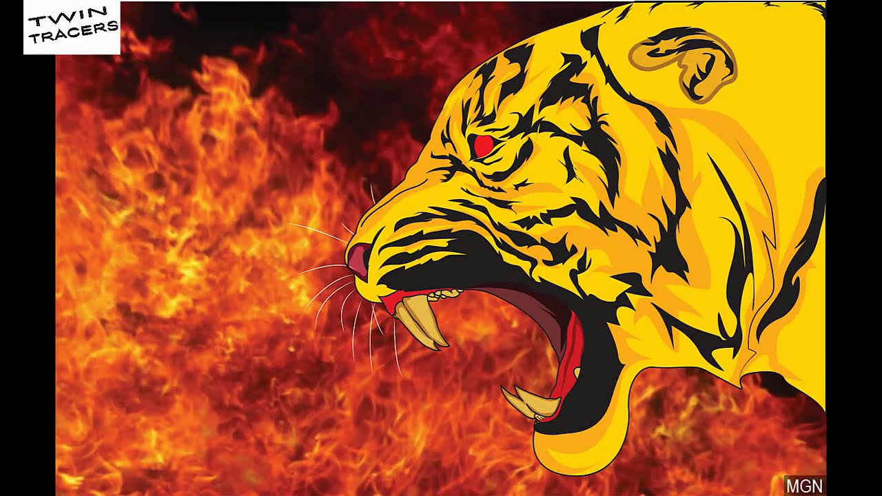 Vector Art Of Tiger | Logo Design | Adobe Illustrator | Twin Tracers