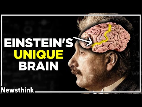 How Einstein’s Unique Brain Made Him Smarter