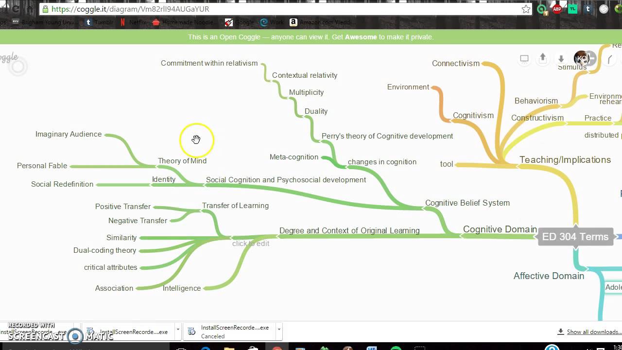 ED304 Cognition and Development Final Concept Map