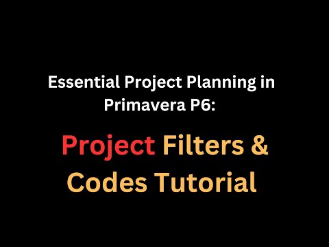 Step-by-Step Guide to Project Filters & Codes for Project Planning in P6