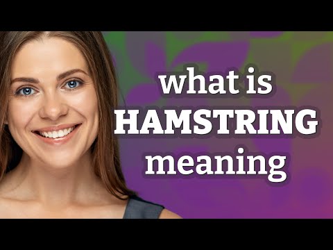 Hamstring | meaning of Hamstring