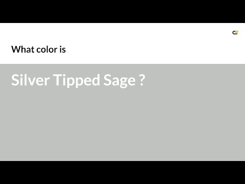 Silver Tipped Sage color #bfc2bf hex color - Grey color - Warm color bfc2bf