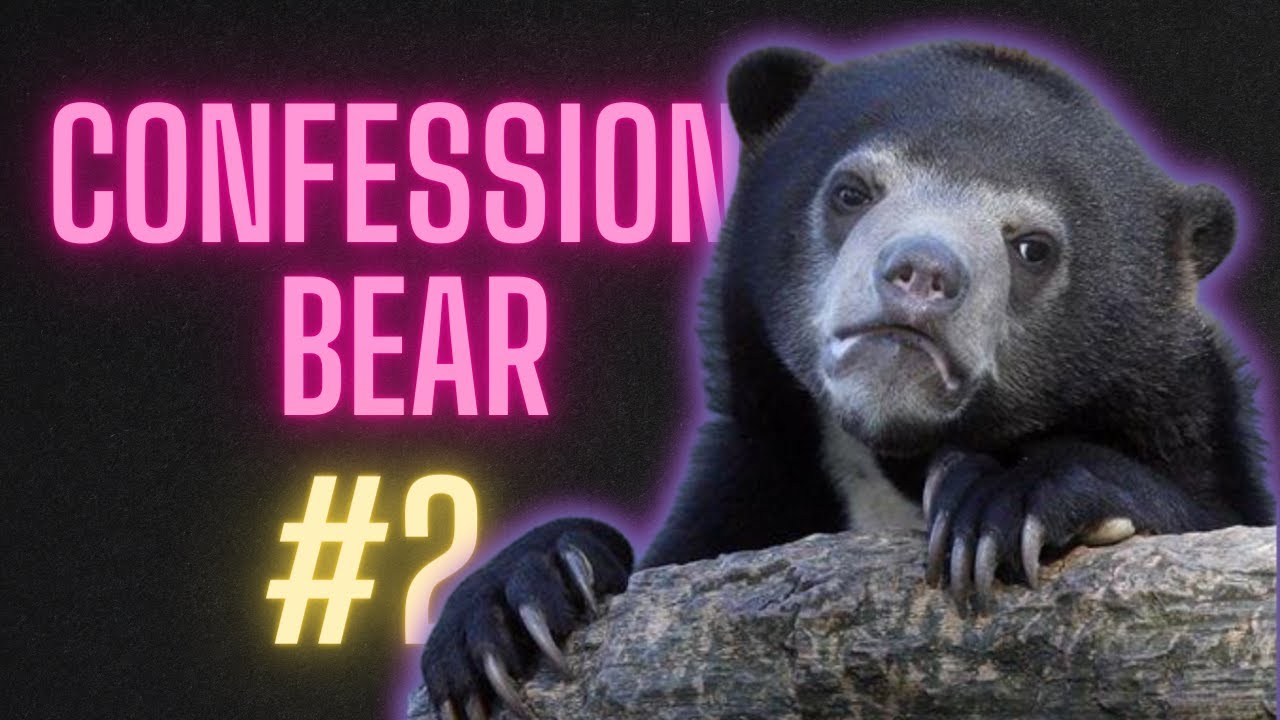 Confession bear - meme compilation #2