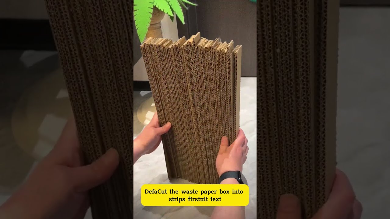 Don't throw away the waste paper boxes at home  #cat #catproducts #pets #catvideos