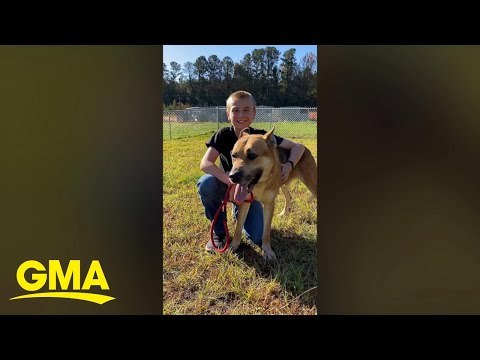 Amazing 12-Year-Old Has Found Homes For Nearly 5,000 Dogs - Mix 103.1