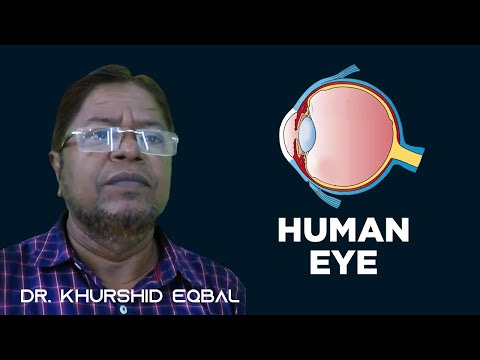 Human Eye | انسانی آنکھ | मानव नेत्र