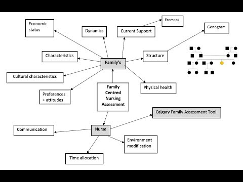 Family Centred Nursing Assessment