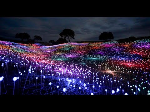 The Field of Light at Sensorio turns Paso Robles valley into a sea of color