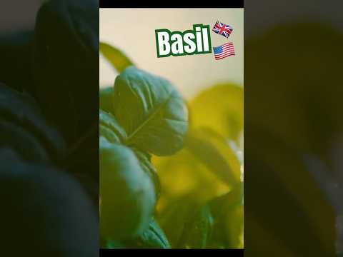 🌿 Basil: American & British Pronunciation! How do Americans say Basil? How do British say Basil?