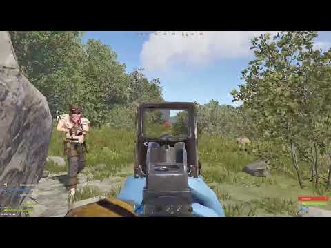the reddit rust experience..