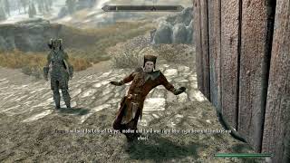 Cicero Got A Little Too Excited About His Wheel at Skyrim Special ...