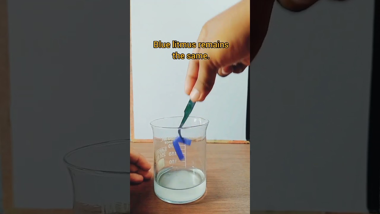 Litmus Test #chemistry