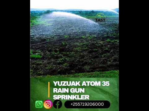 best water irrigation for corn yuzuak ATOM 15 Rain gun sprinkler#kilimo #tanzania #tast #irrigation