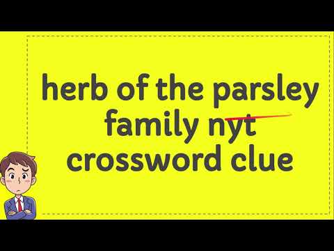herb of the parsley family nyt crossword clue