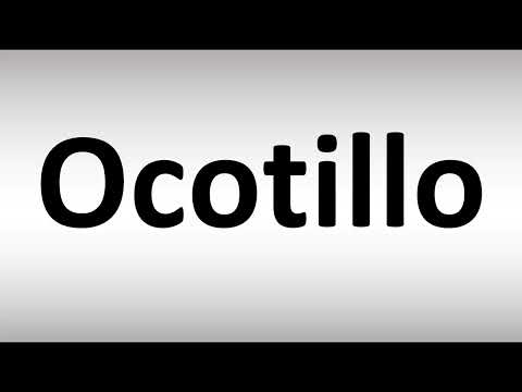How to Pronounce Ocotillo