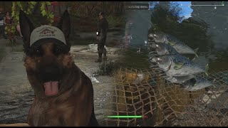 Fishing in Fallout 4 at Fallout 4 Nexus - Mods and community