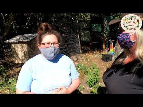Tour of Outback farm with Raintree Nursery