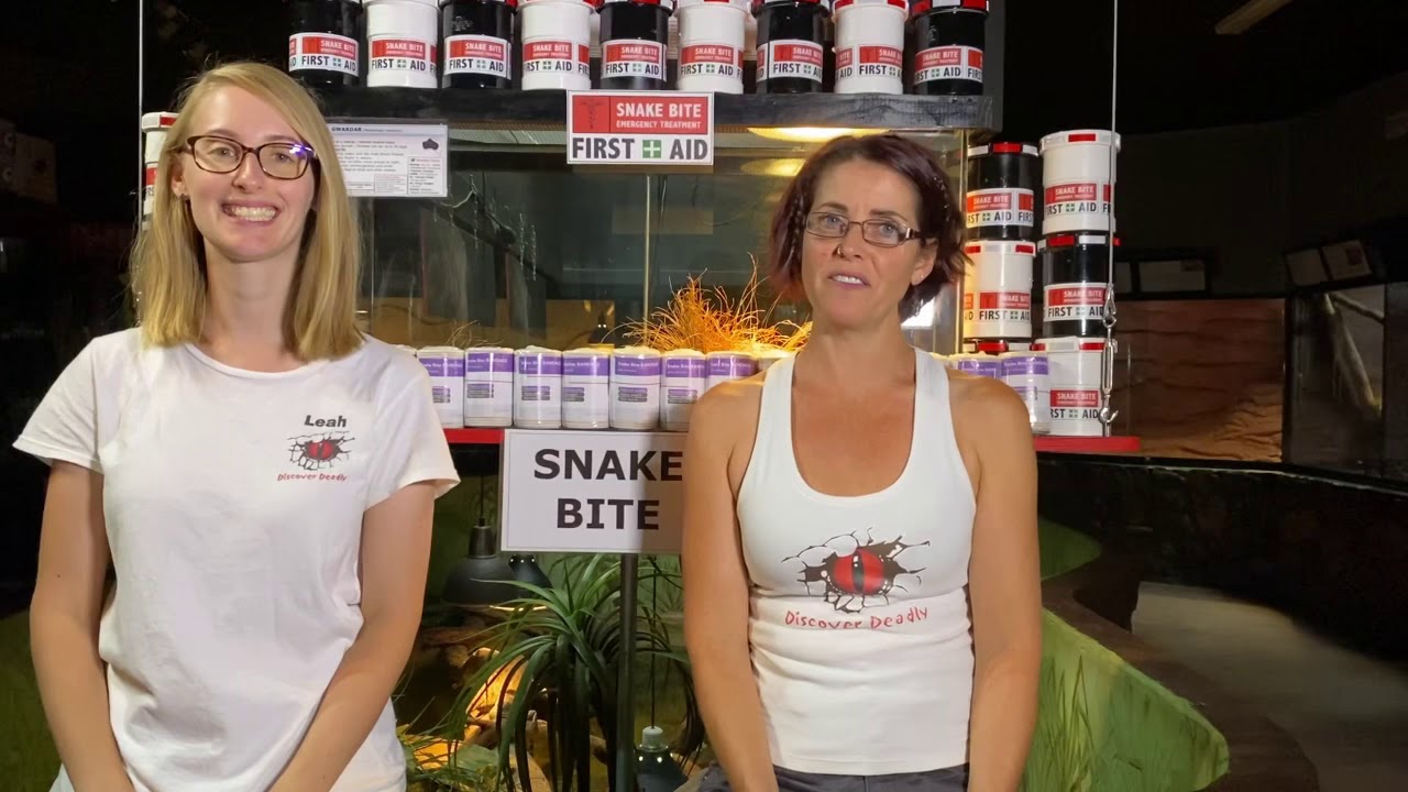 First Aid technique for snake bite in Australia - Part 1