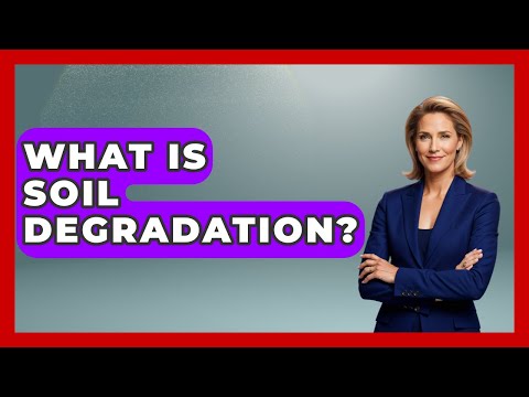 What Is Soil Degradation? - China Cultural Expedition