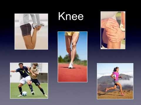 Differential Diagnosis Presentation by Orthopedic Surgeon Dr. Stacie Grossfeld