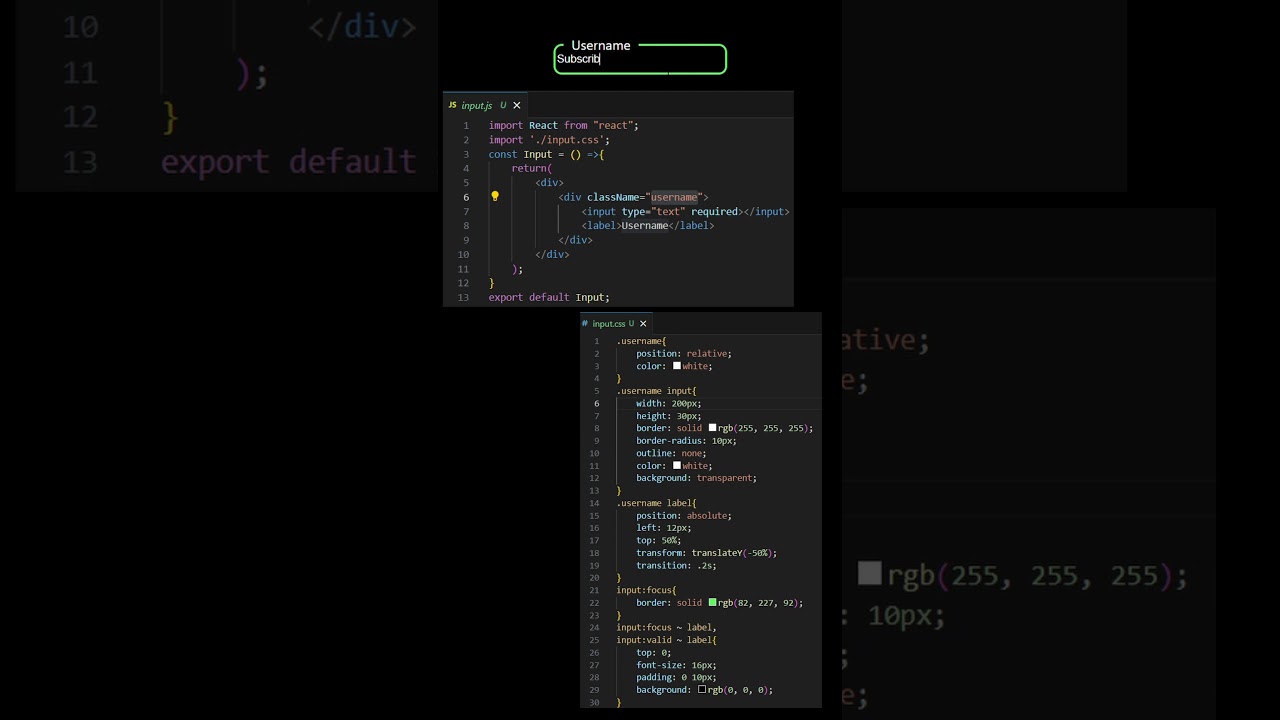 How to create Float Input Label using reactjs react html css #codelife #coding #css #react #code
