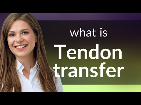 Understanding Tendon Transfer: A Simple Guide