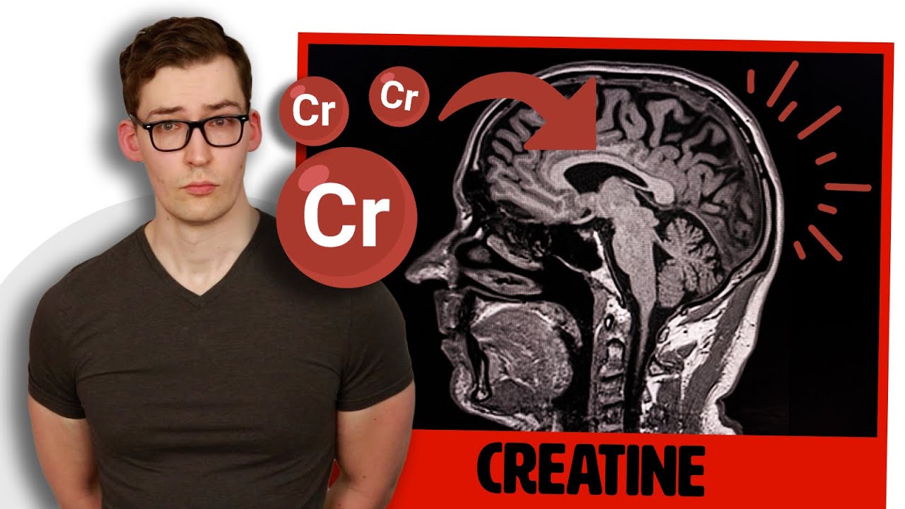 Exploring the Multifaceted Effects of Creatine on Brain Function ...