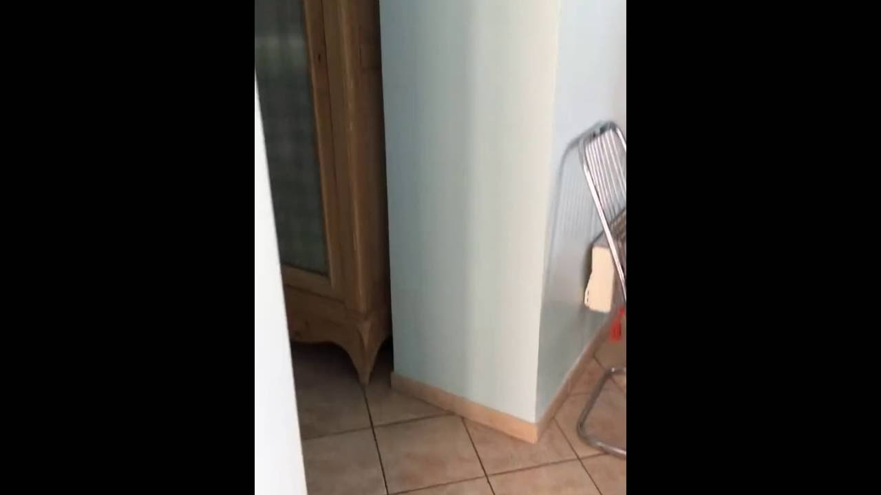 IMG 1982