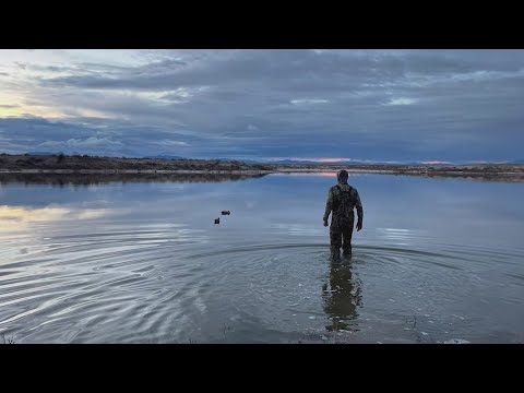 Study: Holloman Lake ecosystem has highest PFAS levels in the world