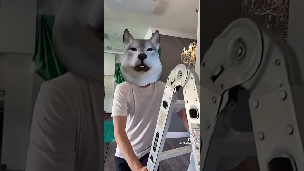 CHAD WTF IS THISSSS IM WHEEZINGG @chadwildclay #edit #fypviralシ #funny #spyninjas #chadwildclay