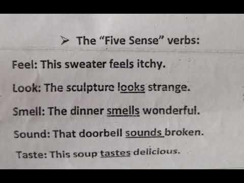 # Five senses of every person # Five senses of verb# AR lslamic shorts