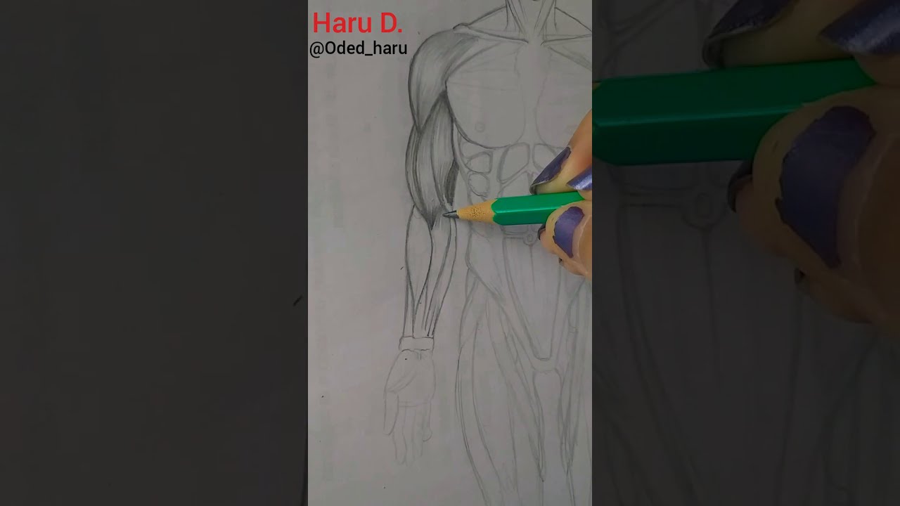 Práctica de Anatomía Muscular💪🏼🦵🏼