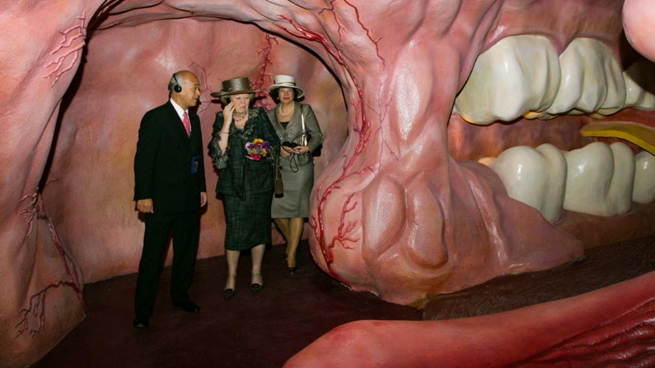 10 Insanely Cool Museums You Definitely Want To Visit