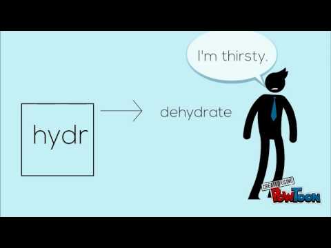 Greek/Latin Words - Week 1 hydr