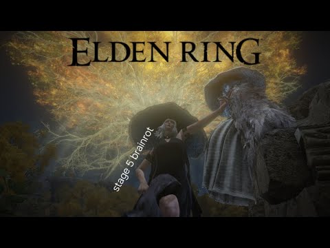 Steam Community :: Video :: How to Have Terminal Brainrot | Elden Ring