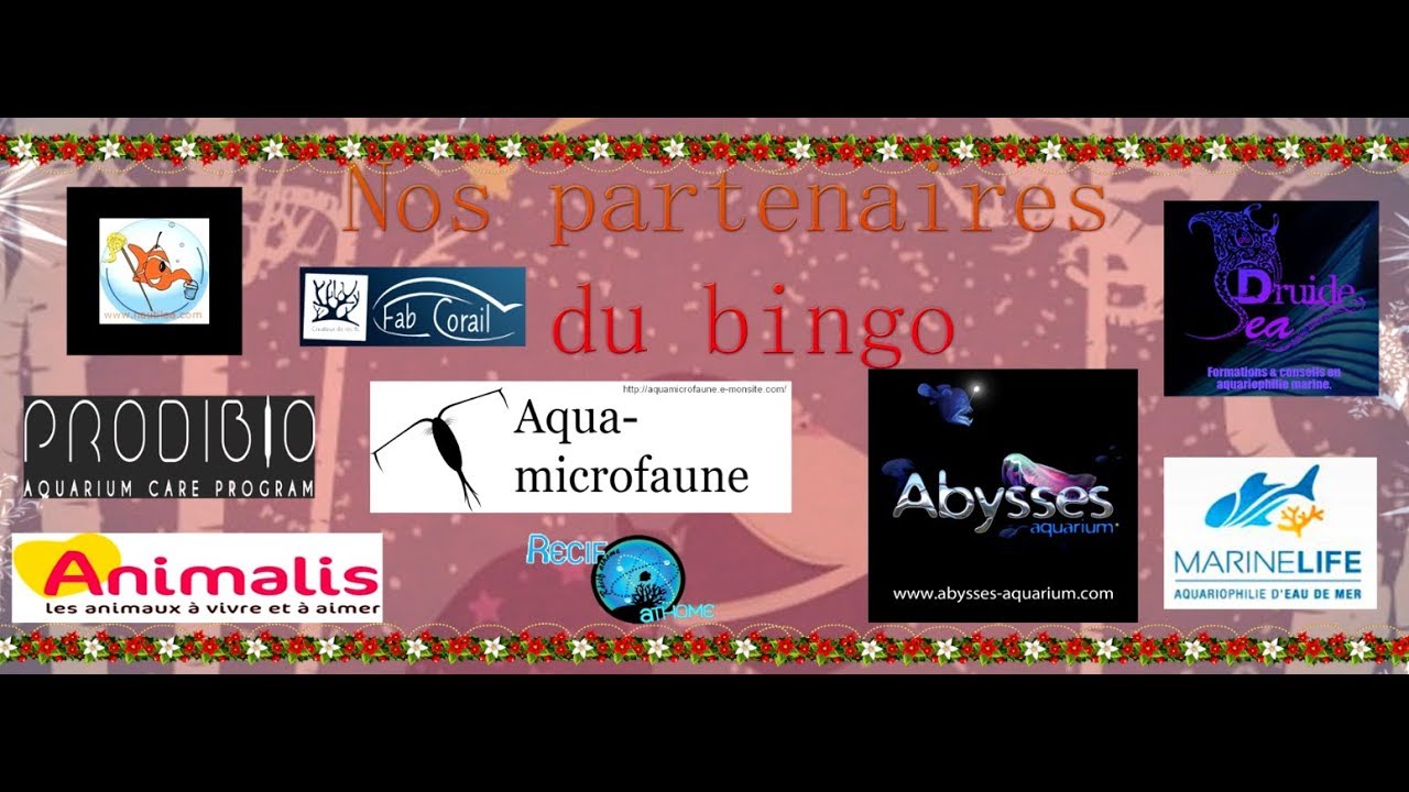 Réglementation Bingo de noêl