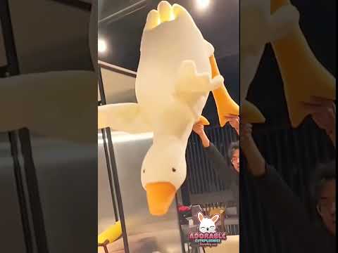 Goose Plush Toy ๐ฆข | Plush Toys for Kids | Plush Toy | #plushtoys #cutetoys #shorts #giftforkids