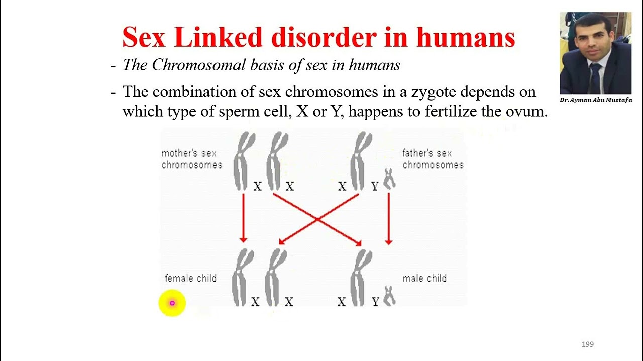 Understanding Single Gene Inheritance: Autosomal Dominant and X-Linked ...