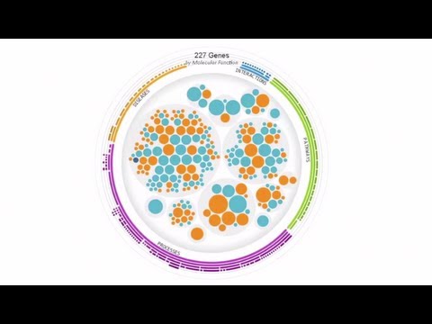 iReport™ from Ingenuity® for Real-Time PCR | Life Technologies