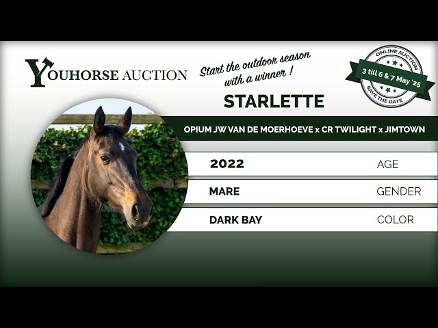 Youhorse.auction | Starlette