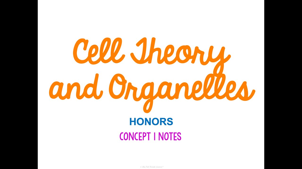 Unit 2 Cells HONORS Concept 1 Notes *UPDATED*