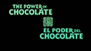 The Power of Chocolate | Smithsonian Institution