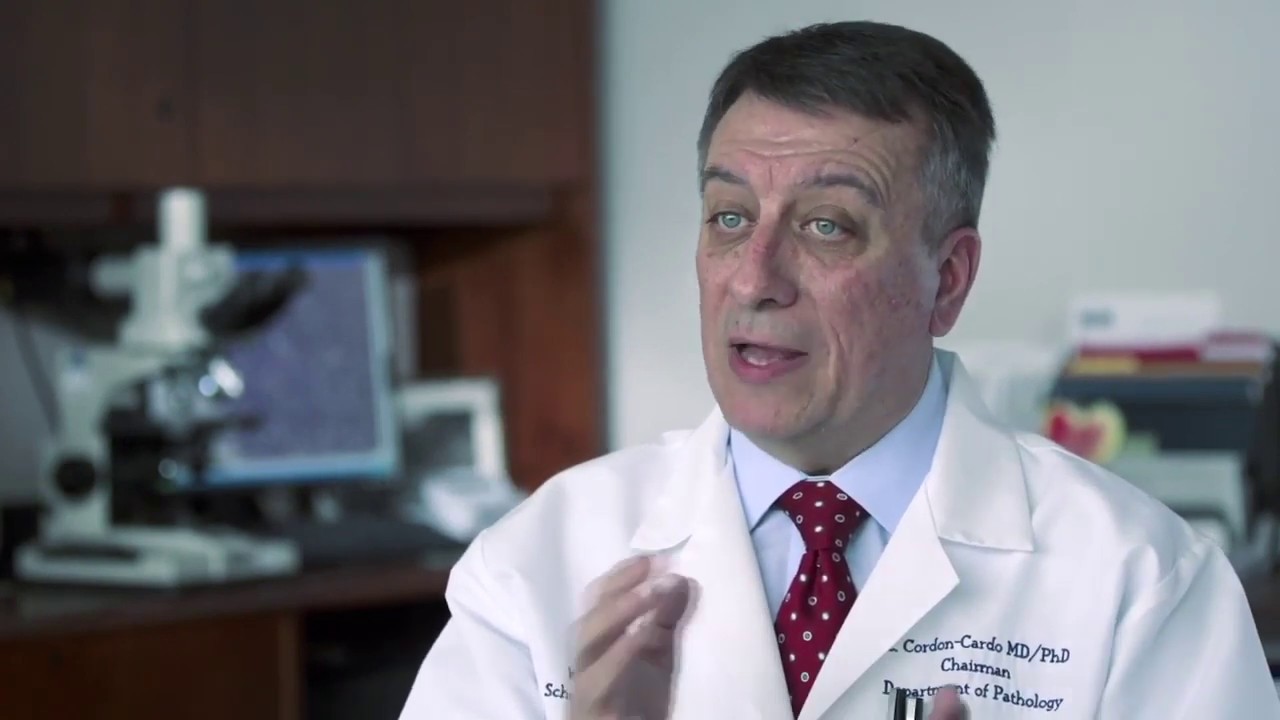 The Department of Pathology, Molecular, and Cell-Based Medicine