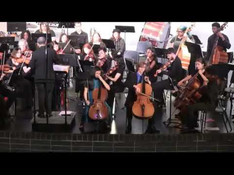 Concerto for Two Cellos in G minor by Antonio Vivaldi