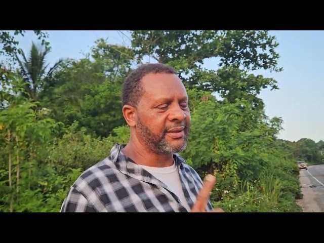 WATCH: Graphic artist killed in Mandeville crash - Jamaica Observer